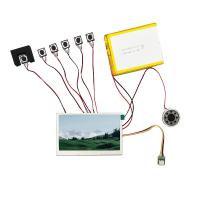China China 350nits wide temp lcd wholesalers 4.3 inch 800x480 IPS LCD Module 24-bits RGB 40pins Optional Custom Touch Screen for sale