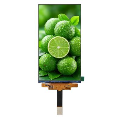 China 5.98 Inch TFT LCD Screen IPS 1440x2560 400 Nits LCD Display Module Optional Touch Panel for sale