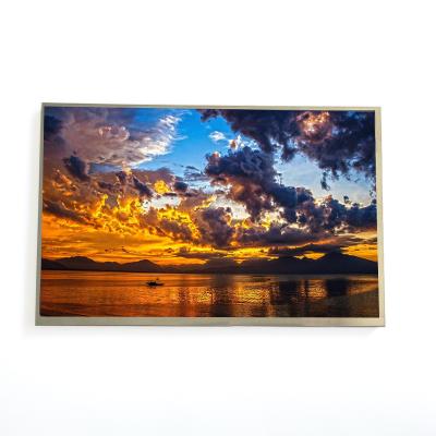 China 10.1 Inch IPS 1280x800 Resolution HD TFT LCD Display 350 Nits LVDS LCD Screen for sale